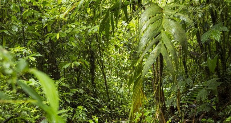 Blog | Page 2 of 2 | Wellnomics